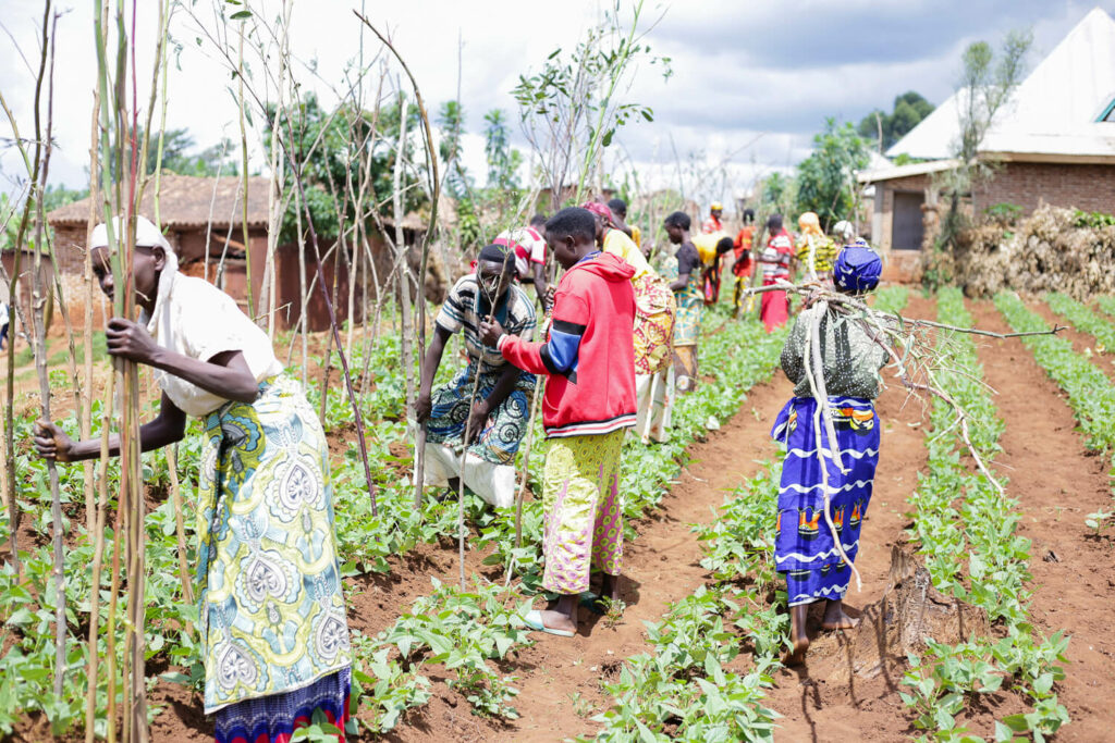 Empowering women in Burundi – Kahawatu